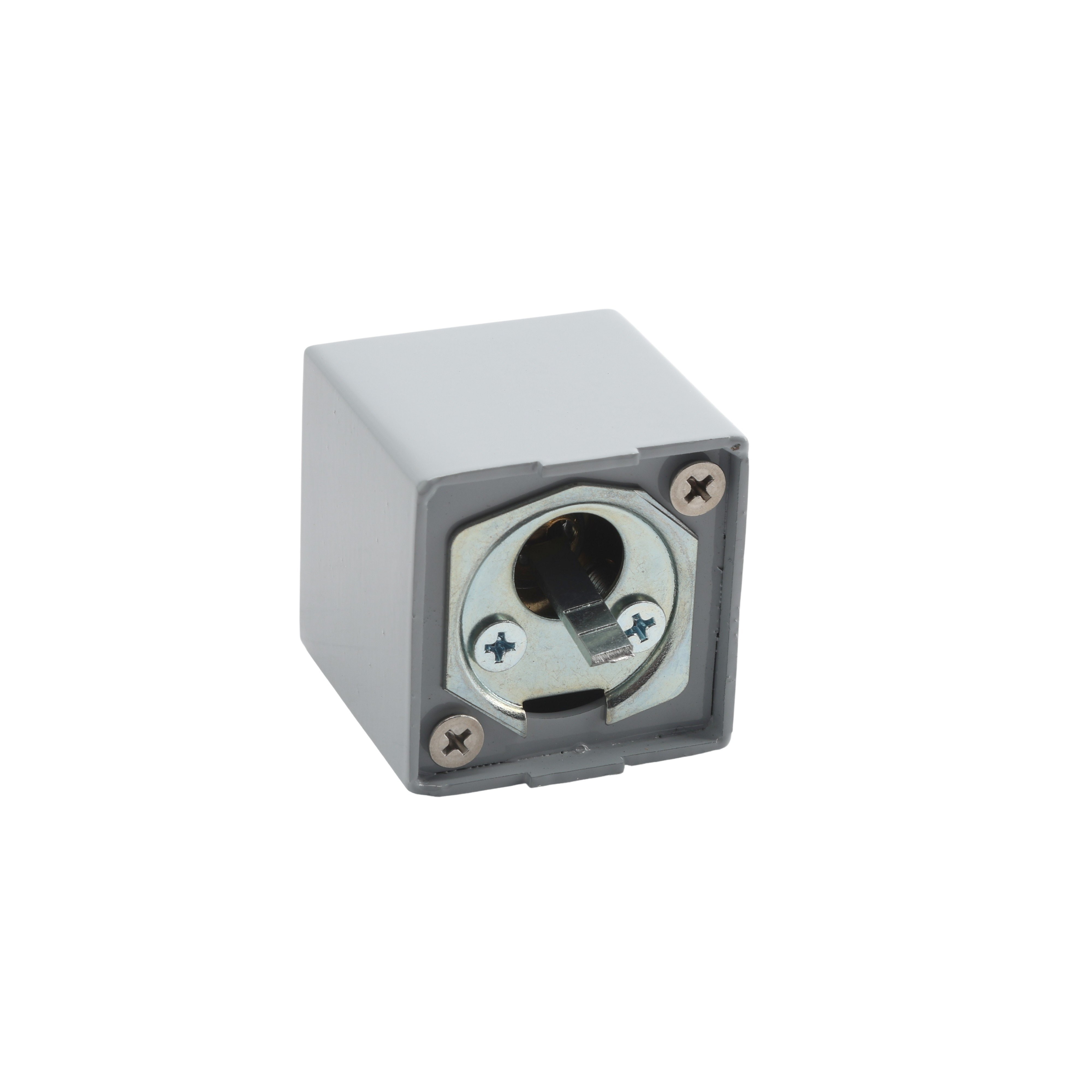 Chain Link DAC Sargent Interchangeable Core Cylinder Rim Housing ...