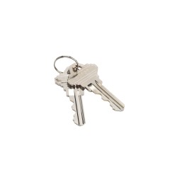 Chain Link DAC Keyed Alike Rim Cylinder with Two Keys | Chain Link Fittings