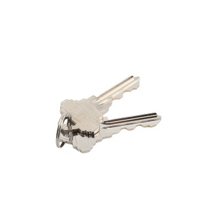 Chain Link DAC Keyed Alike Rim Cylinder with Two Keys | Chain Link Fittings