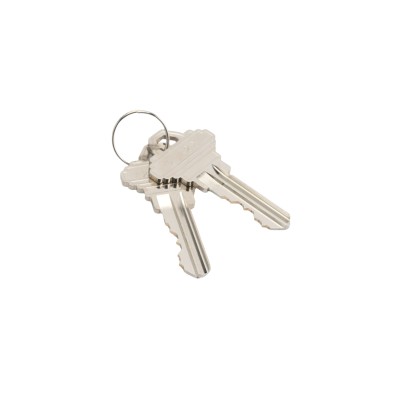 DAC Rim Cylinder For Panic Bar Gates With Two Keys | Chain Link Fittings